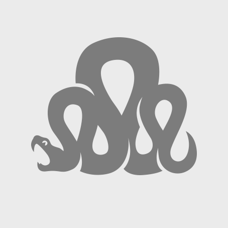 Iron Snakes — Pop Goes the Monkey